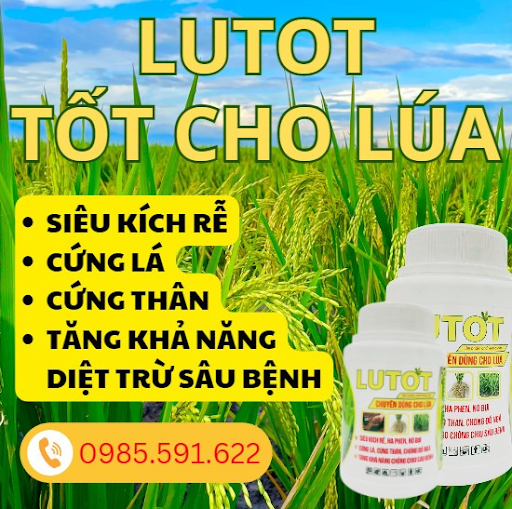 LUTOT-CỰC PHẨM ĐẺ NHÁNH